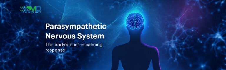 Parasympathetic Nervous System: What & How It Reduces Stress